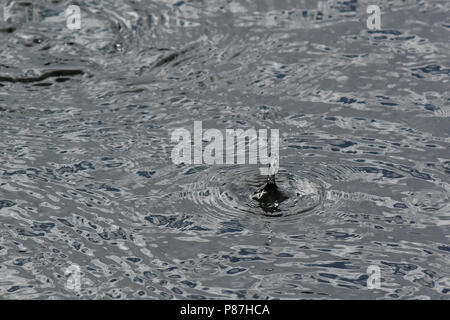 "Into each life, a little rain must fall" Henry Wadsworth Longfellow ...
