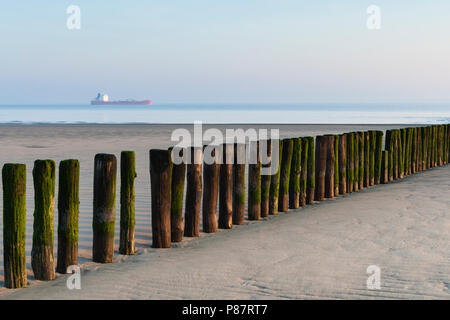 Timber groyne at the beach of Breskens Stock Photo - Alamy