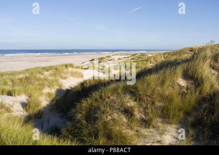 Uitzicht over het strand vanuit duinen; View at beach from dunes Stock ...