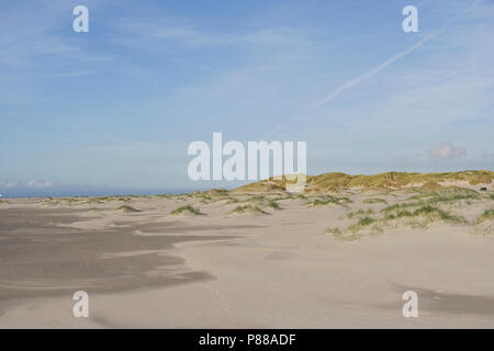Overgang van duinen naar het strand; Transition of dunes to beach Stock ...