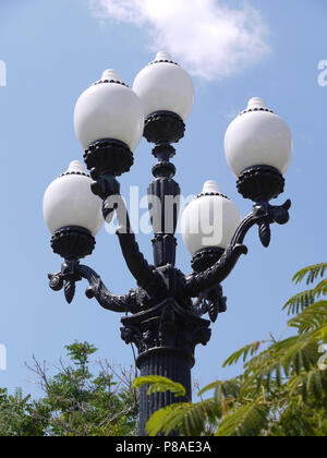 Decorative bushes with a lamp in a glass sphere against the sea with ...