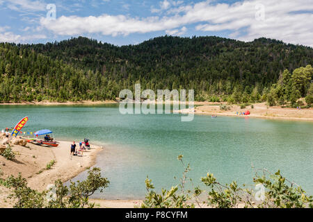 People fishing, kayaking and canoeing surrounded by pine trees at ...