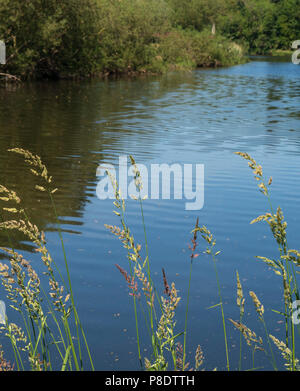 Teviot Smokery garden centre and water gardens, Kalemouth, near Kelso ...