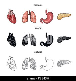 Pancreas icon in outline style isolated on white background. Organs ...