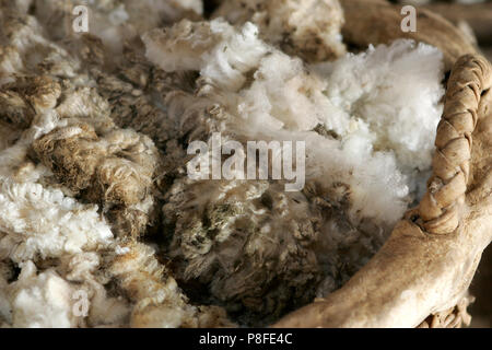 History of the australian wool industry in old Kinchega Woolshed Stock ...