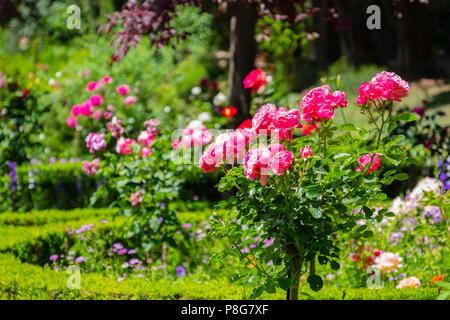 typical Andalusian courtyard decorated with flowers in the city of ...