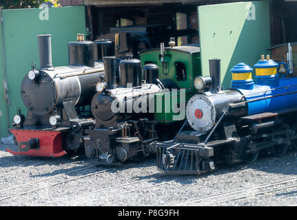 Miniature Swiss Steam Railway Engines in their Shed at The Swiss Vapeur ...