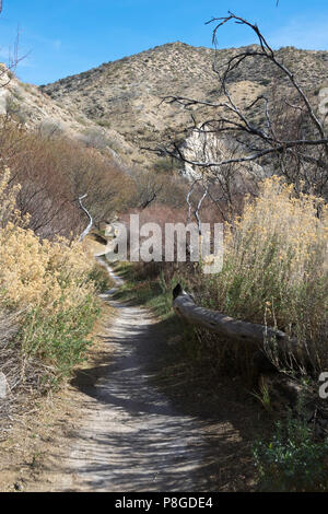 Footpath hiking trail at Big Morongo Canyon Preserve Stock Photo - Alamy