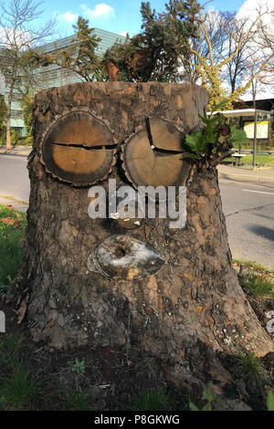 Tree stump "face Stock Photo - Alamy