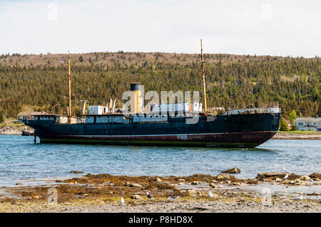 SS Kyle ran aground at Harbour Grace in 1967. She was part of the Reid ...