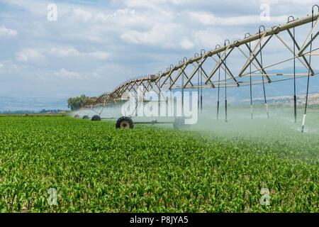 Lateral move agricultural irrigation system on plowed field in sunset ...