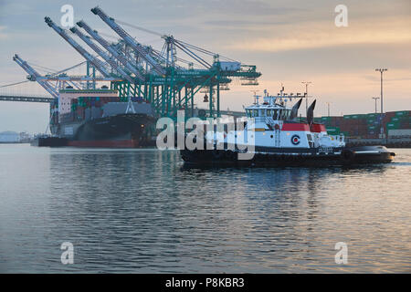 Evergreen Container Ship, EVER SMART, Bunkering (Refuelling) In The ...
