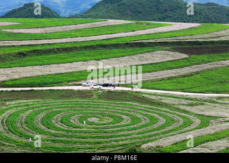 Bijie, China's Guizhou Province. 12th July, 2015. Tourists visit a ...