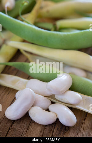 fresh white beans called cannellini just picked on wooden table Stock ...