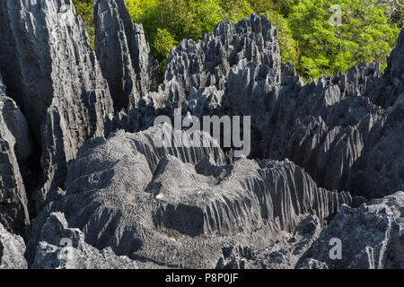 Strongly eroded limestone on Madagascar Stock Photo - Alamy