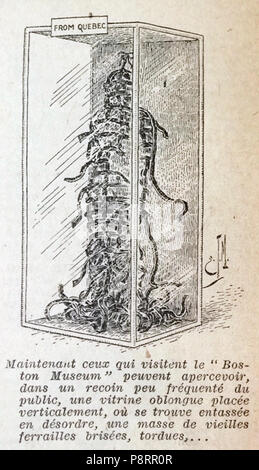 Edmond J Massicotte Cage of La Corriveau in the Boston Museum Une ...