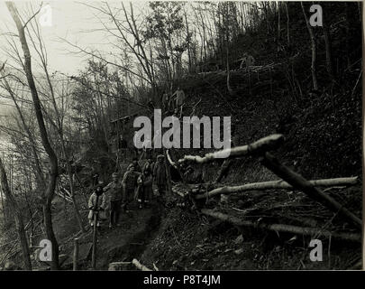 Deckungen im Bau .Kolanki. (BildID 15430442 Stock Photo - Alamy