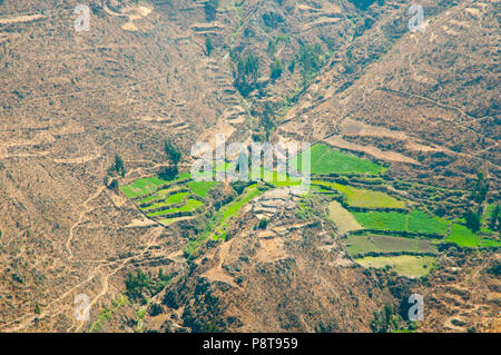 Terrace farming in the Colca Canyon, Canon del Colca, Andes Stock Photo ...