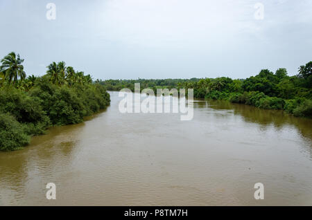 Mangrove forests along the Sal river as seen from Assolna, Goa, India ...