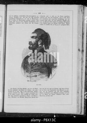 . 119 Die Gartenlaube (1853) b 489 Stock Photo - Alamy