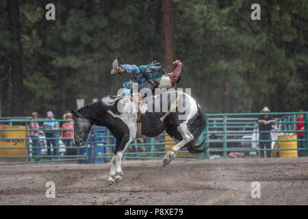 Rodeo-Bareback-Luke Creasy riding Candy Man Wild action on bucking ...