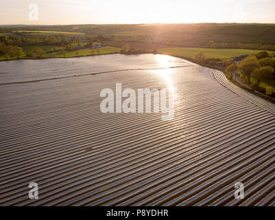 Ploughed field during sunset Stock Photo - Alamy