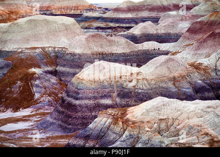 Striped purple sandstone formations of Blue Mesa badlands in Petrified ...