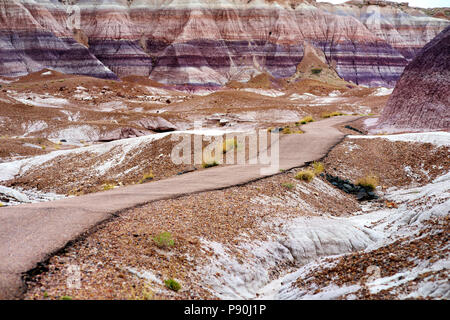 Striped purple sandstone formations of Blue Mesa badlands in Petrified ...