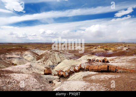 Stunning petrified wood in the Petrified Forest National Park, Arizona ...