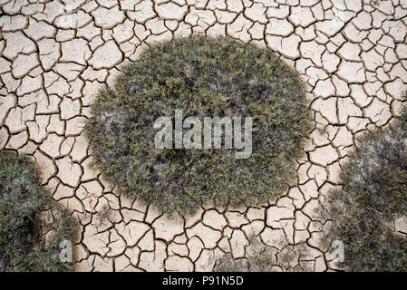 Landscape on delta of river Evros, Greece, panoramic view Stock Photo ...
