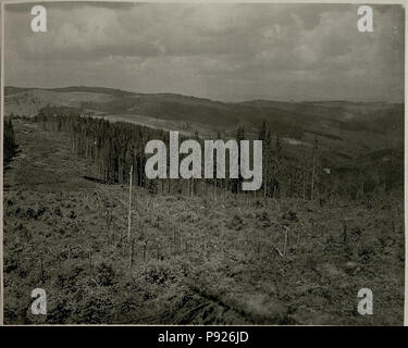 Mestiecanescie und Valeputna (BildID 15716865 Stock Photo - Alamy