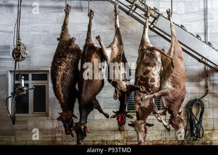 Bloody butchered animal carcass in meat market in Kathmandhu Stock ...