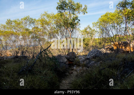 The paths to the Gwion Gwion Aboriginal art caves at Vansittart Bay and ...