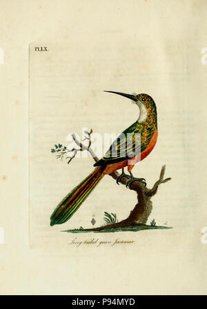 A general history of birds Winchester England Printed by Jacob and ...