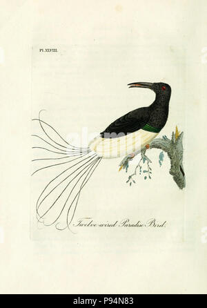 A general history of birds, Winchester England, Printed by Jacob and ...