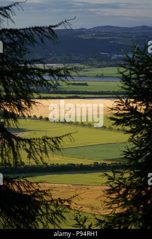 Scottish Arable Farmland Landscape of the Tay Valley in the Golden ...