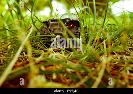 A toy car in the real world Stock Photo - Alamy