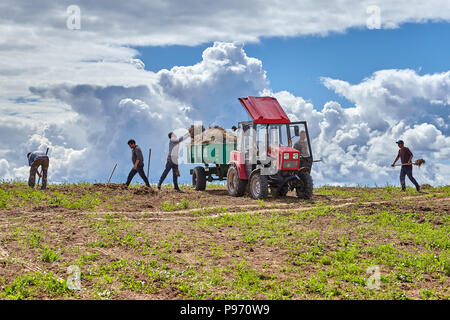 Group of people at work as farmers and peasants in rice field ...