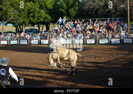 Bronc Busting at the Mason County Rodeo Stock Photo - Alamy