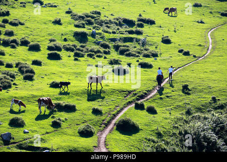 Weining, China's Guizhou Province. 15th Mar, 2018. Farmers harvest ...