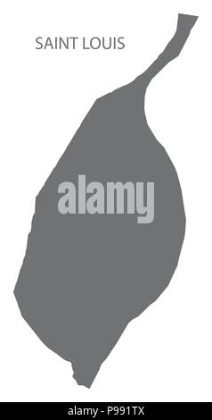 Saint Louis Missouri city map with neighborhoods grey illustration ...