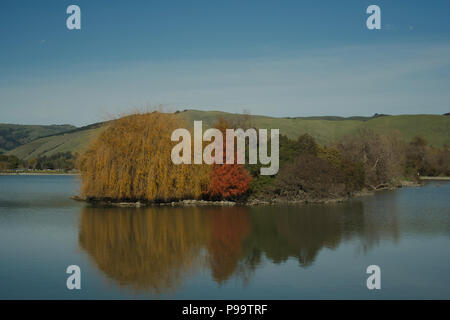 Lake Elizabeth Fremont California Stock Photo - Alamy