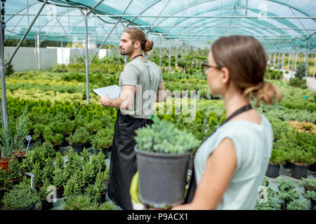 Workers in the greenhouse of plants production Stock Photo - Alamy