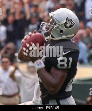 Jacksonville Jaguars wide receiver Tim Jones (13) stands for the ...