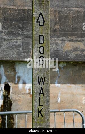 Dog walk at Arboretum Stock Photo - Alamy