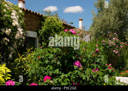 classic Spanish cortijo house with roses Stock Photo - Alamy