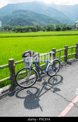Guanshan,popular,cycling,bicycle,path,circle,loop,around,rice,fields ...
