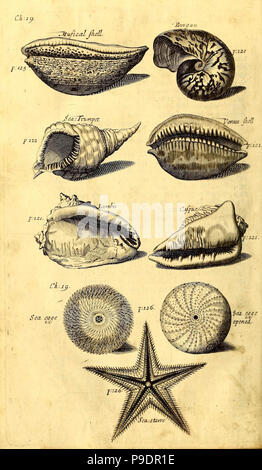 weird medieval creatures Stock Photo - Alamy