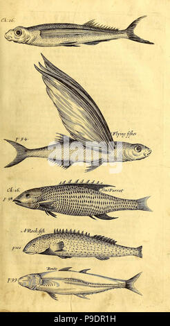 weird medieval creatures Stock Photo - Alamy