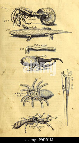 weird medieval creatures Stock Photo - Alamy